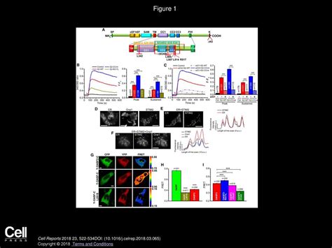 Volume 23 Issue 2 Pages April 2018 Ppt Download