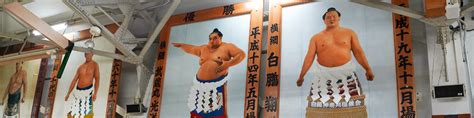 Sumo De Artes Marciais Japonesas