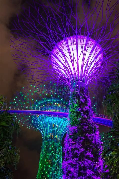 Gardens By The Bay Super Tree Grove Light Show Editorial Image Image