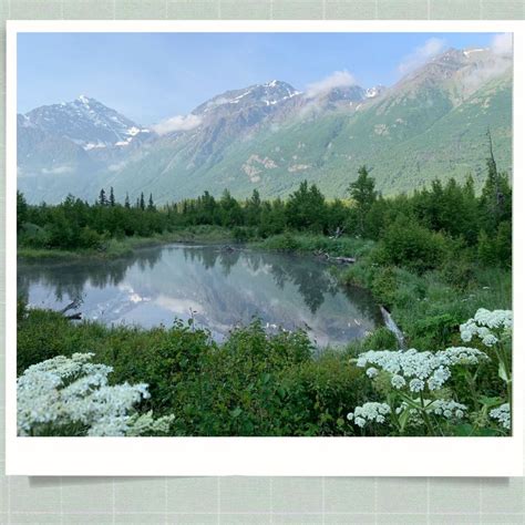 Heidi Blair Anchorage Alaska Shares The Top Five Reasons To Visit Alaska By Heidi Blair