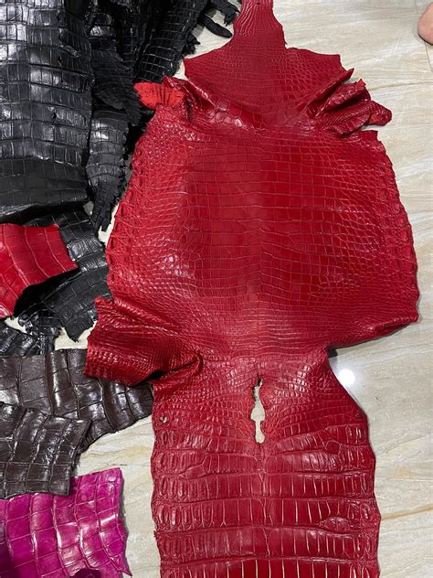 Red Crocodile Belly Skin