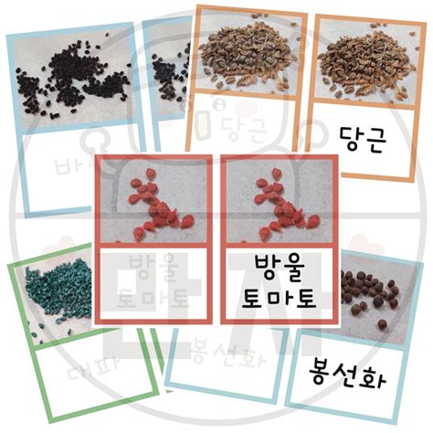 단어카드 씨앗1 만자디자인