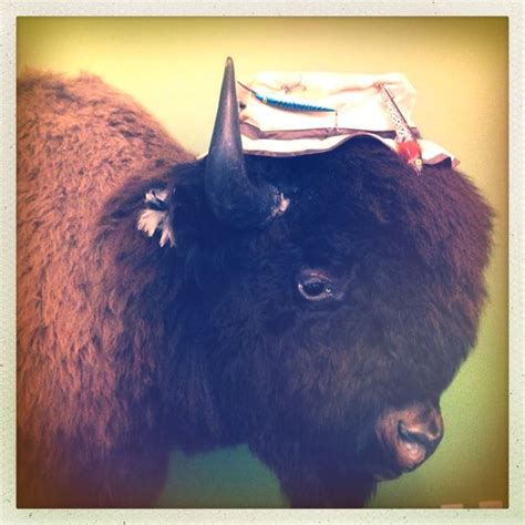 An Old Listing On Foursquare For The Former Gravity Falls Offices At Disney Tva That Visitors