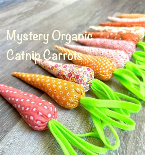 Soft Plush Organic Catnip Carrot Assorted Style Organic Catnip Toy Variety Pack Handmade Soft Plush Organic Catnip Carrot Assorted Style Organic Catnip Toy Variety Pack Handmade