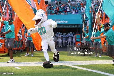 548 Dolphins Mascot Photos And High Res Pictures Getty Images