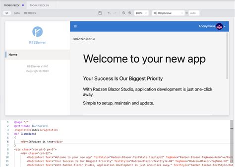 Error Displaying Page Issue Radzenhq Radzen Blazor Studio GitHub