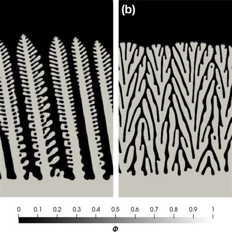 Evolution Of Columnar A Dendrites And B Seaweed Microstructures Download Scientific Diagram