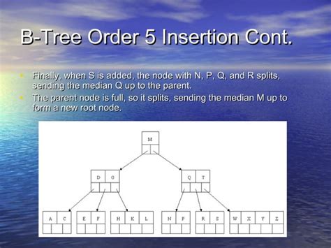b trees dbms