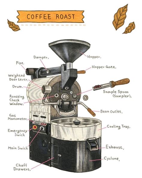 Parts Of A Coffee Roasting Machine At Isabelle Gsell Blog