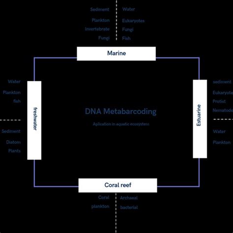 Schematic Diagram Of An Aquatic Ecosystem With Dna Metabarcoding Download Scientific Diagram