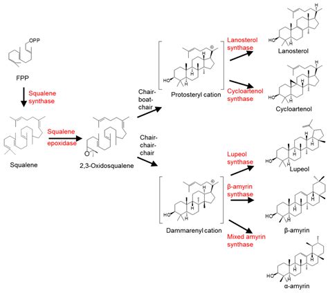 Oxidosqualene