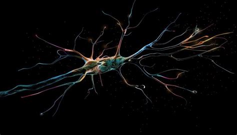 Colorful Neuron Cell Structure Premium Ai Generated Image