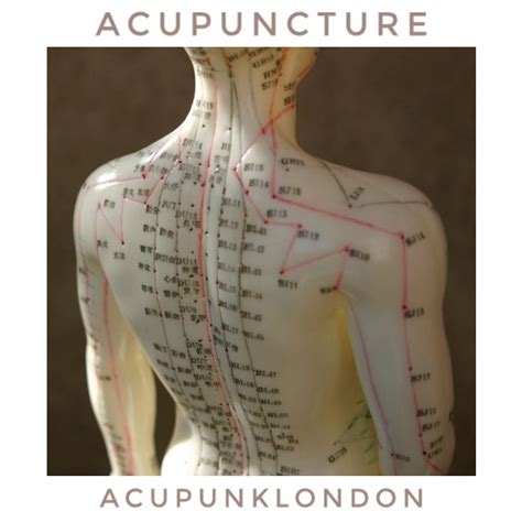 How Does Acupuncture Work