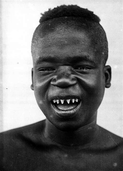 اوتا بِنگا؛ پسری از جنگل‌های آفریقا که در باغ وحش به نمایش درآمد