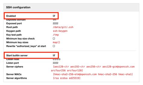 Securing Developer Tools Unpatched Code Vulnerabilities In Gogs 12