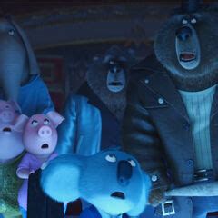 Bearsgallery Sing Wiki Fandom