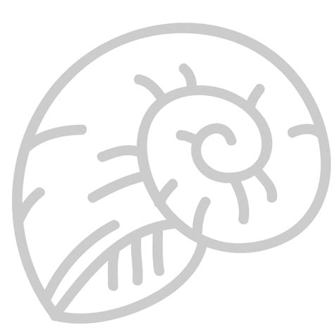 Shell 36654803 Vector Art At Vecteezy