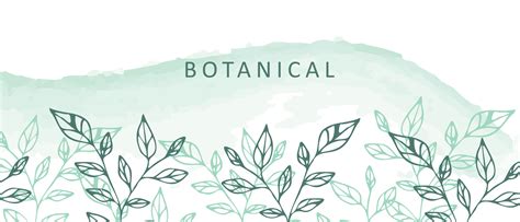Botanical Background With Plants 36445253 Vector Art At Vecteezy