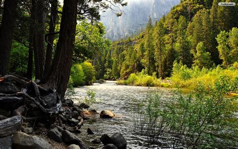 🔥 50 Beautiful River Wallpapers Wallpapersafari