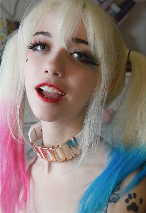 Harley Quinn Halloween Comeback Tiktok