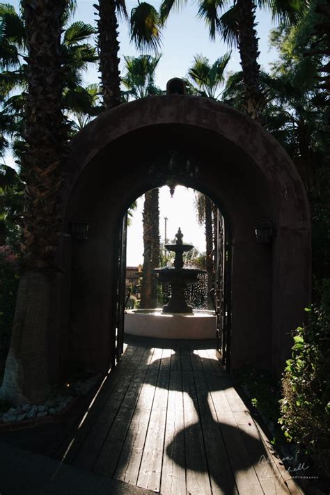 Boojum Tree Hawaiian Elopement Salli And Steve Alyssa Campbell Photography
