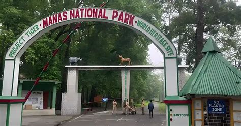 Manas National Park Naparks
