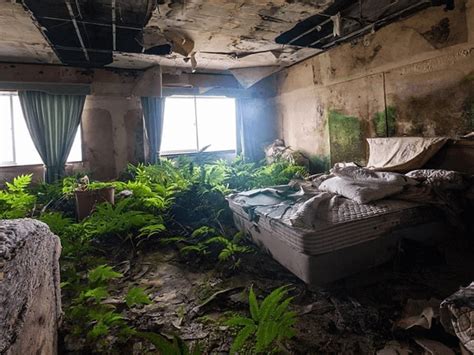 I Just Woke Up Where The Fuck Am I Rule Rhackpunk