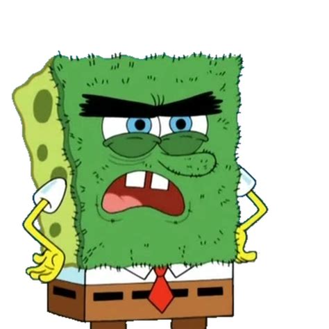 Spongebob Abrasive Side Shapes Inc