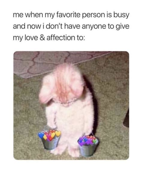 Favourite Person Memes My Favourite Person Essay On My Favourite