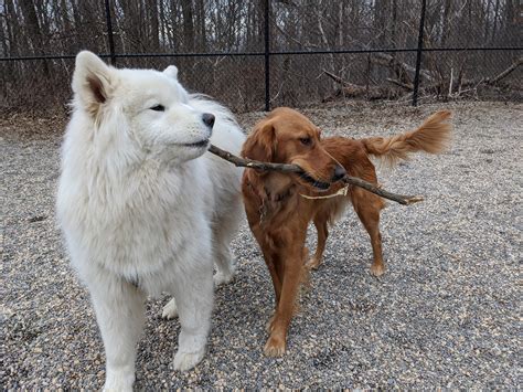 Branch Manager And Assistant Branch Manager Rasstbranchmanager