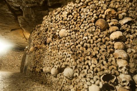 Premium Photo Paris Catacombs Skulls And Bones