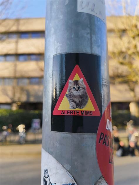 Fosdem Opensource Techcommunity Innovation Fireflyzero Mikhail