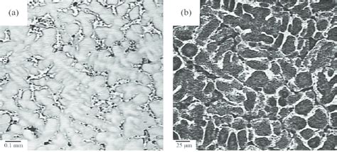 Microstructure Of Primary Austenite Grains Of Ahs Steel A Steel A