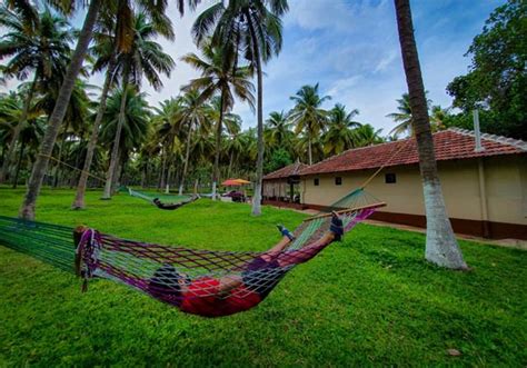 Pn Farm House A Coconut Farm Stay Pollachi