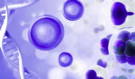 一文帮你看透丨为何很多人都在存储干细胞？ 知乎