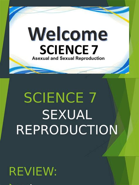 Sexual Reproduction Overview And Review Pdf Science And Mathematics