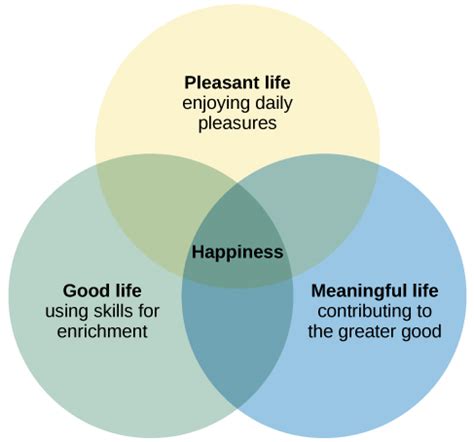 The Pursuit Of Happiness Introductory Psychology