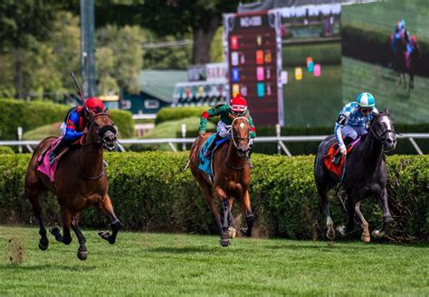 Illhandalthecash Taste Of Victory Stables