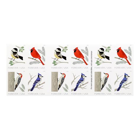 2018 Us First Class Forever Stamp Birds In Winter Us Stamps Mail Center Online