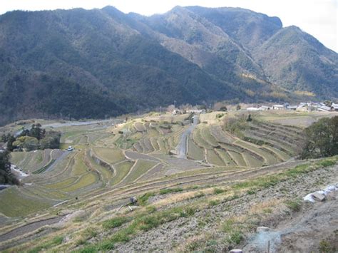 中山千枚田（香川県） 【ロケ地 検索】全国ロケーションデータベース