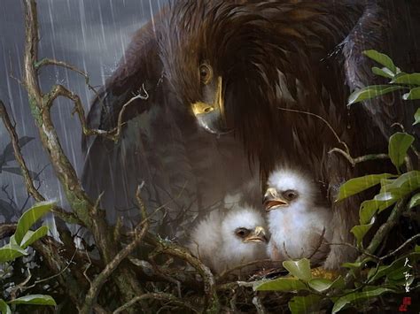 Mothers Protection Love Eagle 65 Eagle Quotes That Can Help You