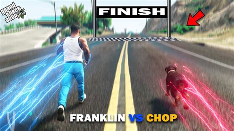 Franklin Vs Chop The Ultimate Race Challenge In Gta 5 Gta 5 New Youtube