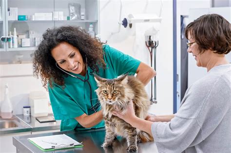 Roundworm In Cat Vomit