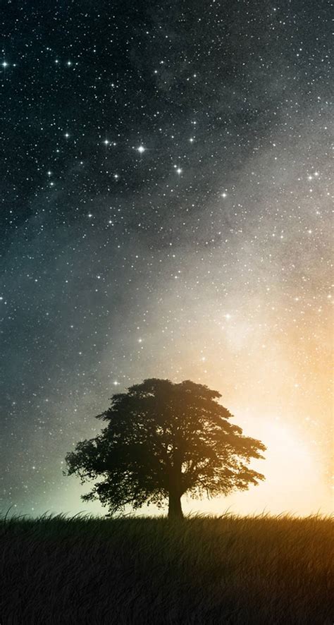 Lonly Wallpapers Wallpaper Cave