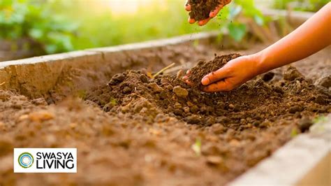 Soil Quality Indicators And How To Improve Them A Comprehensive Guide