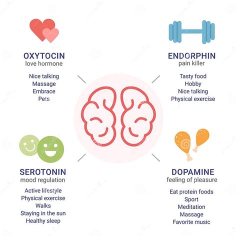 Scheme Of Happiness Hormones Oxytocin Serotonin Dopamine Endorphin