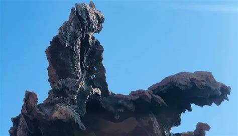 تور داخلی، خارجی، تور مسافرتی، تور گردشگری ادیبیان