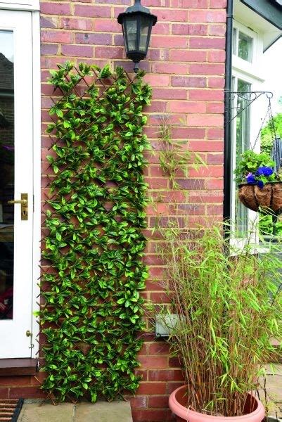 Buy Artificial Lemon Leaf Hedge Screening Trellis Delivery By Primrose