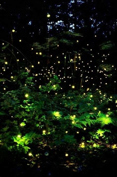 Pin On Fairytale House ⊱╮️ Lilly Fantasy Landscape Fantasy Castle Firefly