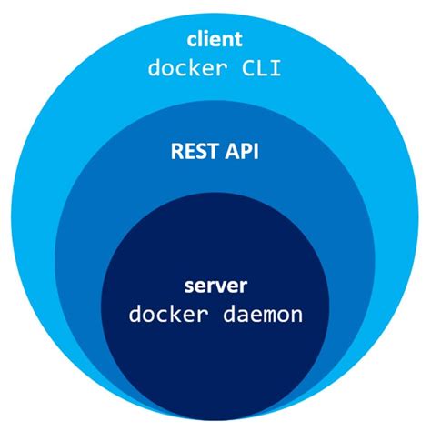 Guía De Docker Y Kubernetes Pt 1 Conceptos Básicos Del Contenedor Docker